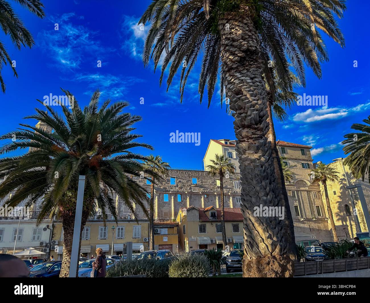 Split, Croatia, Scenic View, Public Garden with Palm Trees, Cafes on ...