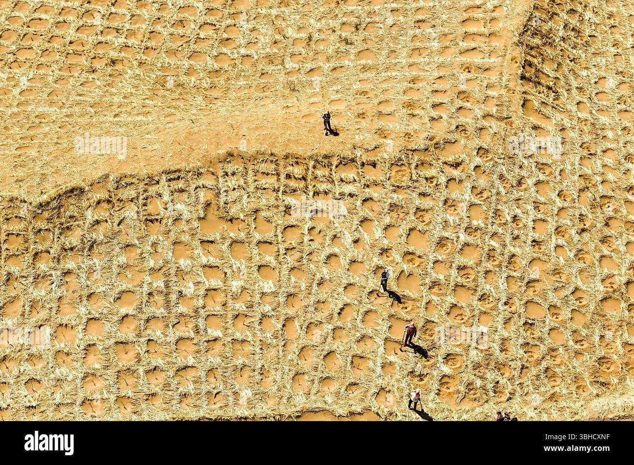 WUWEI, CHINA - JUNE 8, 2025 - Aerial view of the Qingtu Lake sandstorm ...
