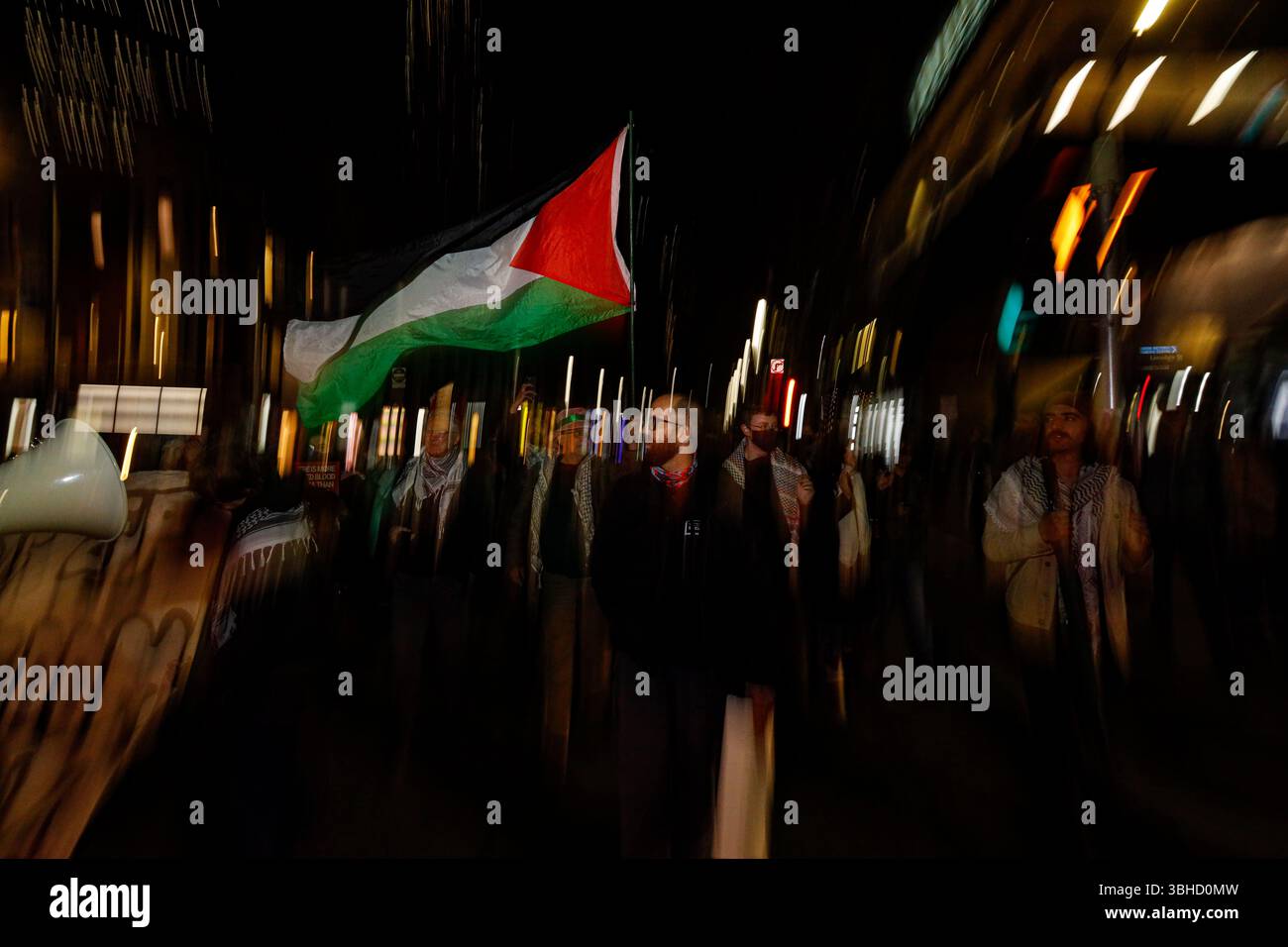 A protestor waves a flag during the rally. Protesters gathered in ...