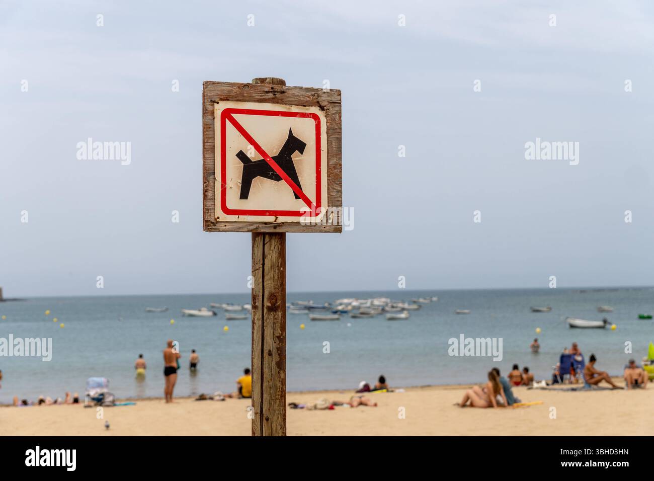 Cadiz, Andalusia, Spain - June 9, 2025: A prohibition sign on the city beach Playa de La Caleta ...