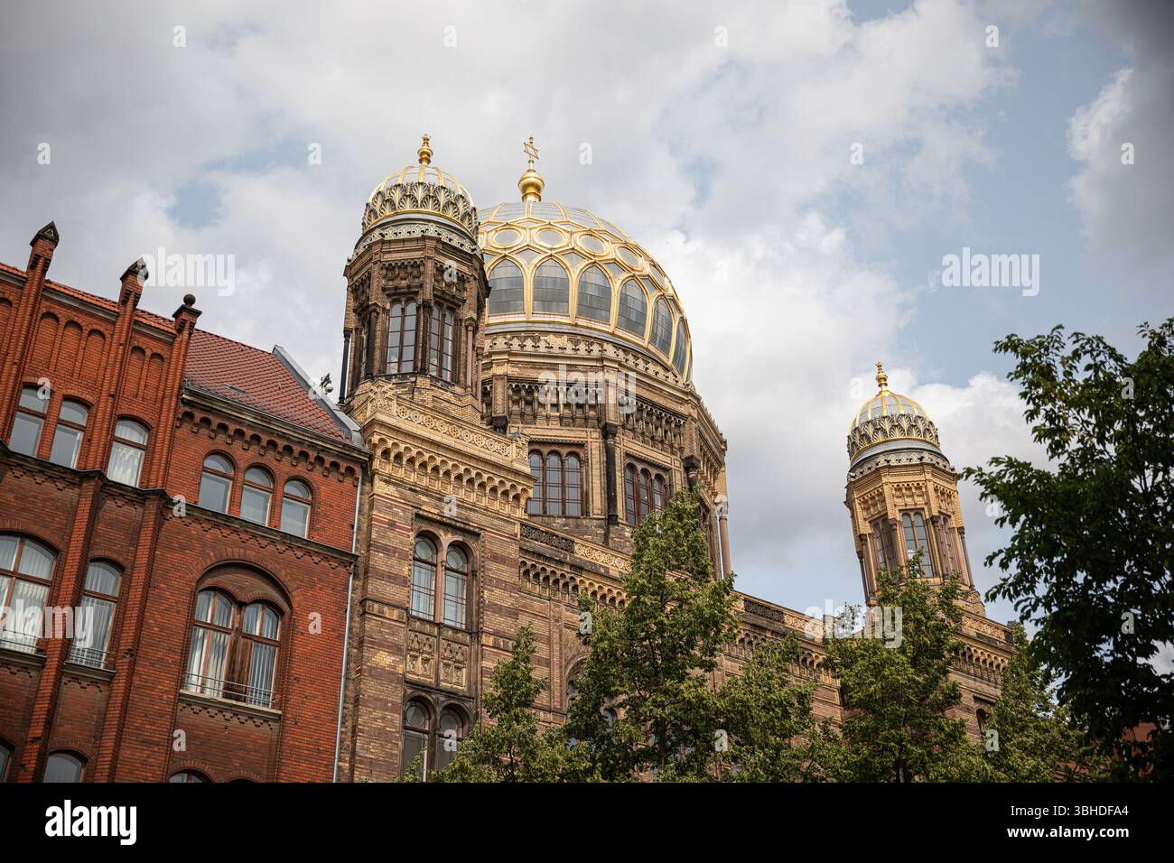Die Neue The Dome