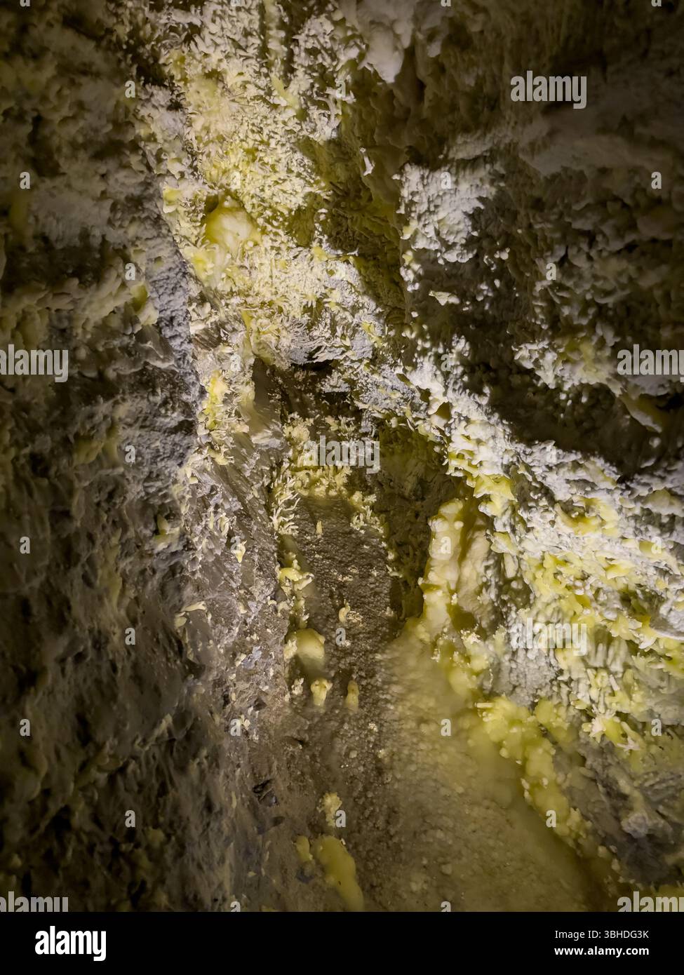 Fragile calcite cave formations by Hidden Lake in the Timpanogos Cave ...