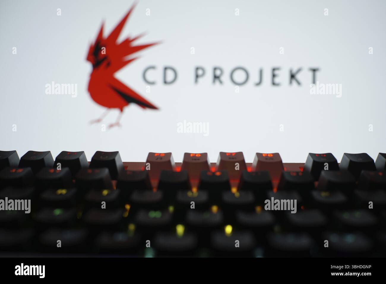 CD Projekt logo with a red bird above a colorful, blurred keyboard ...