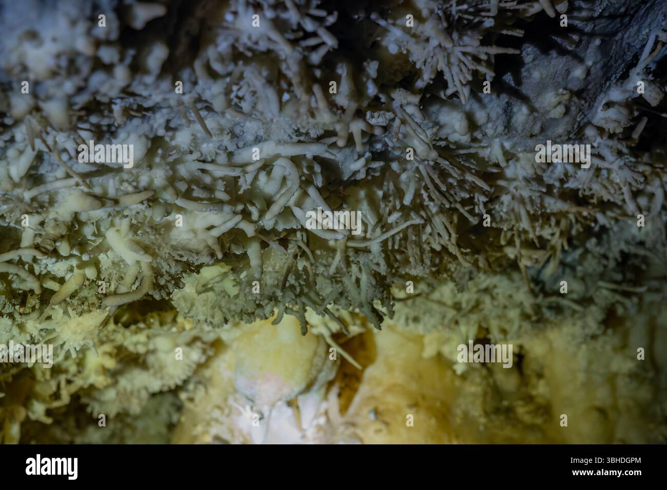 Fragile helictites by the Great Heart of Timpanogos in Timpanogos Cave ...