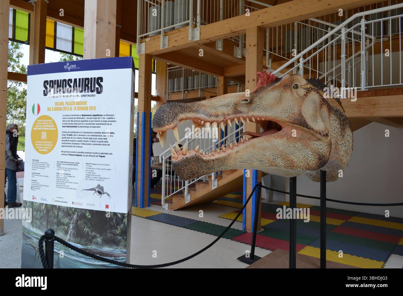 Spinosaurus aegiptiacus hi-res stock photography and images - Alamy