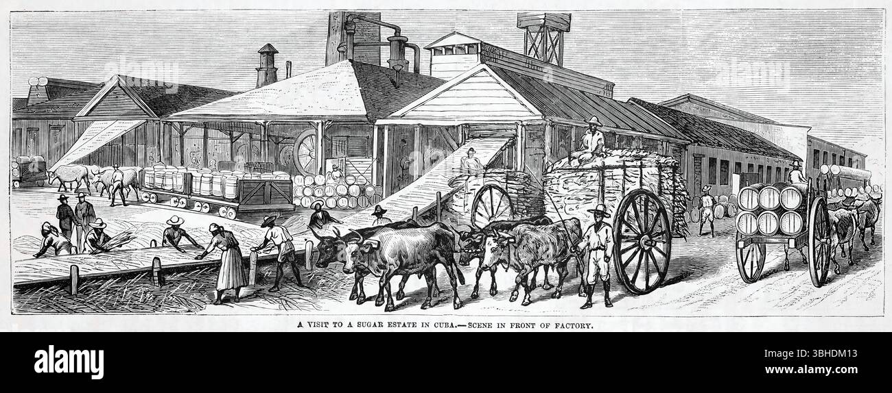 A visit to a sugar estate in Cuba - Scene in front of factory (1878 ...