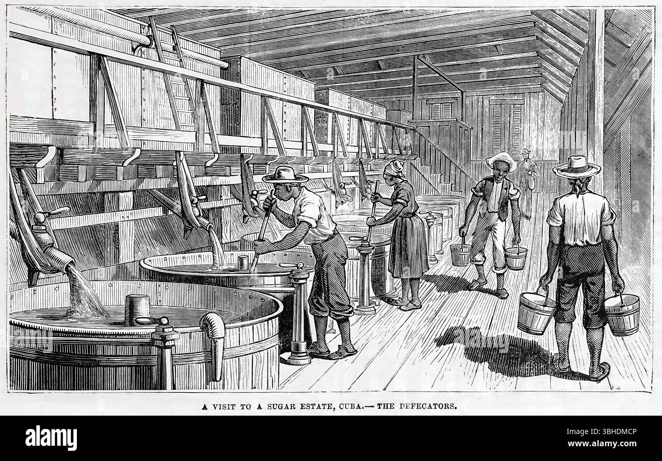 A visit to a sugar estate, Cuba - The defecators (1878). Depicts black ...