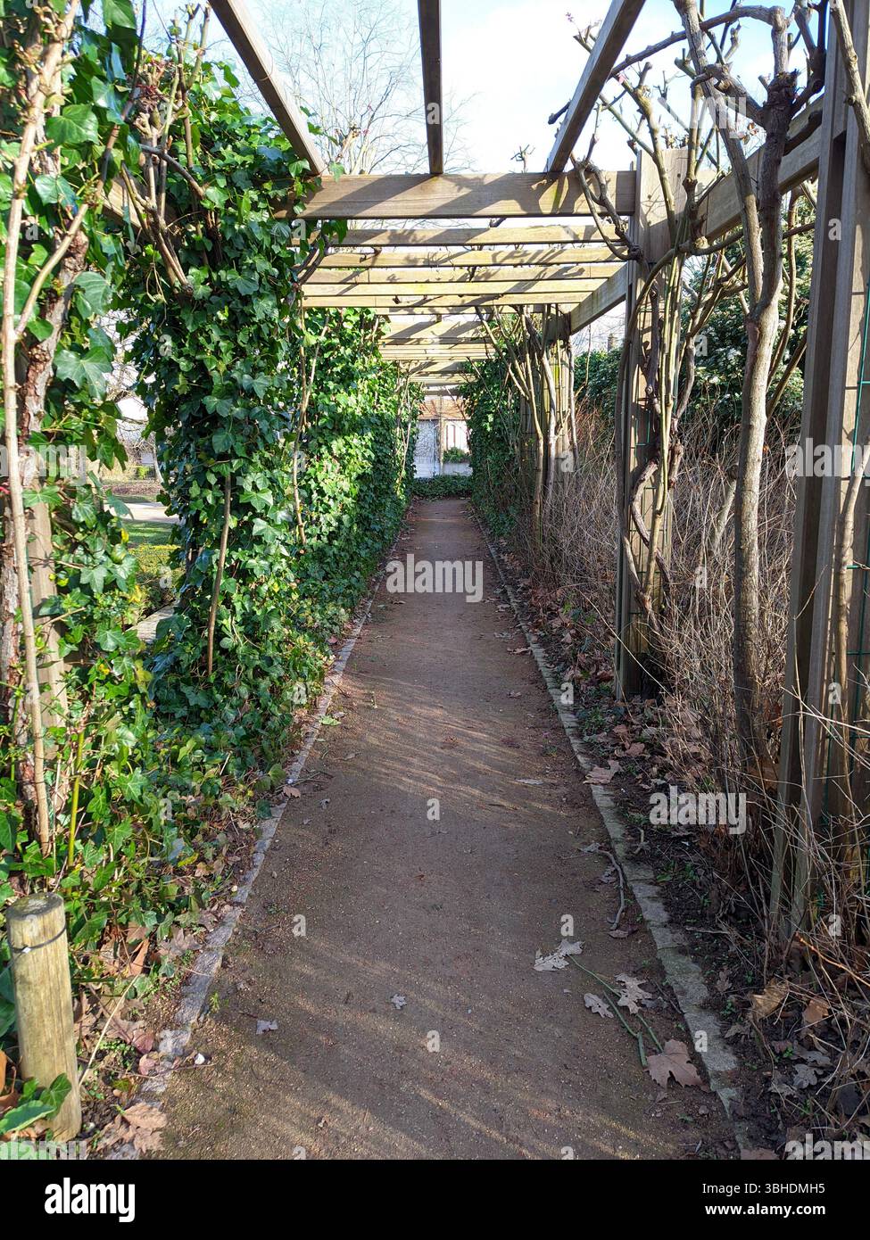 Shaded path walkway hi-res stock photography and images - Alamy