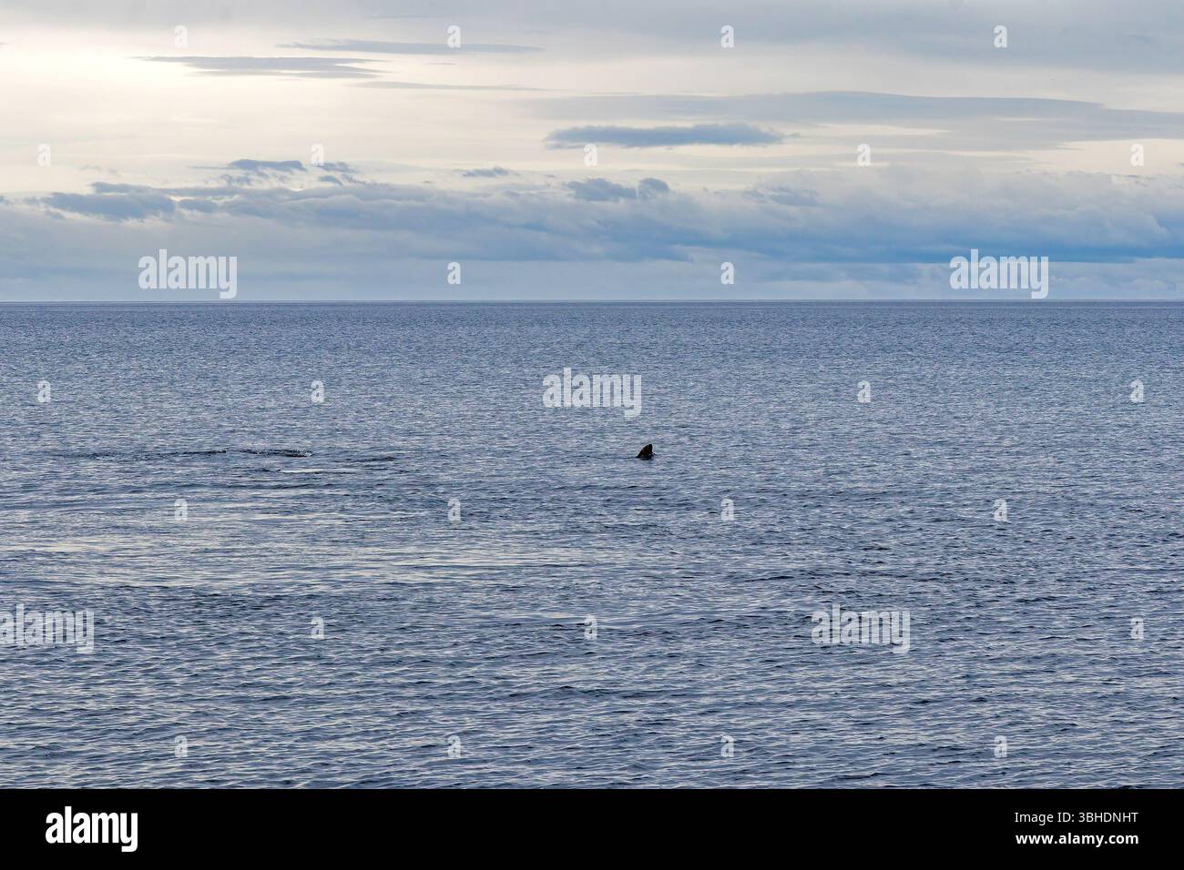 Strait of Magellan, Chile Stock Photo - Alamy