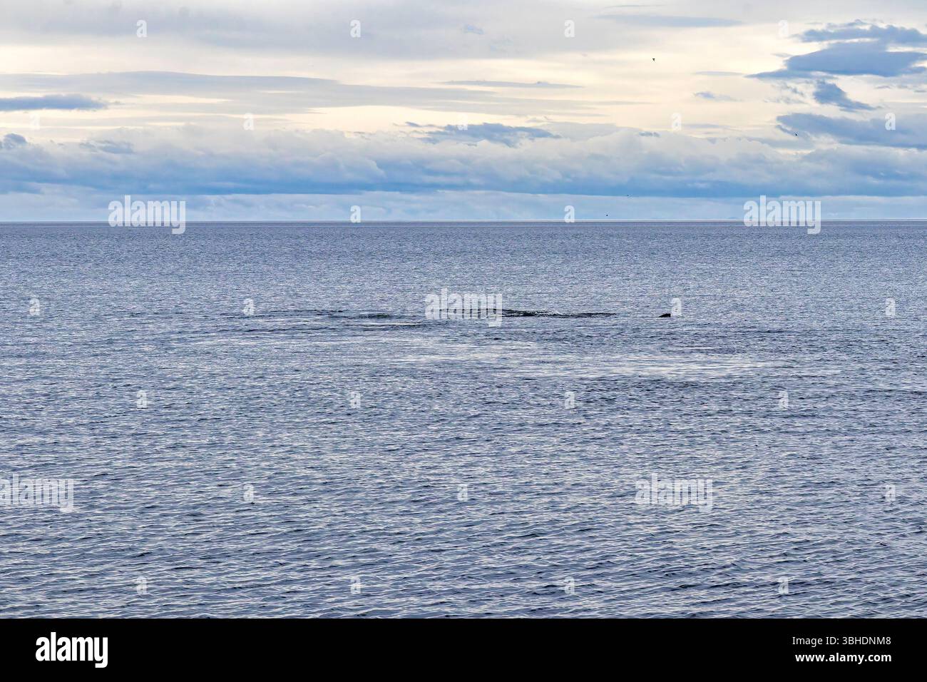 Strait of Magellan, Chile Stock Photo - Alamy