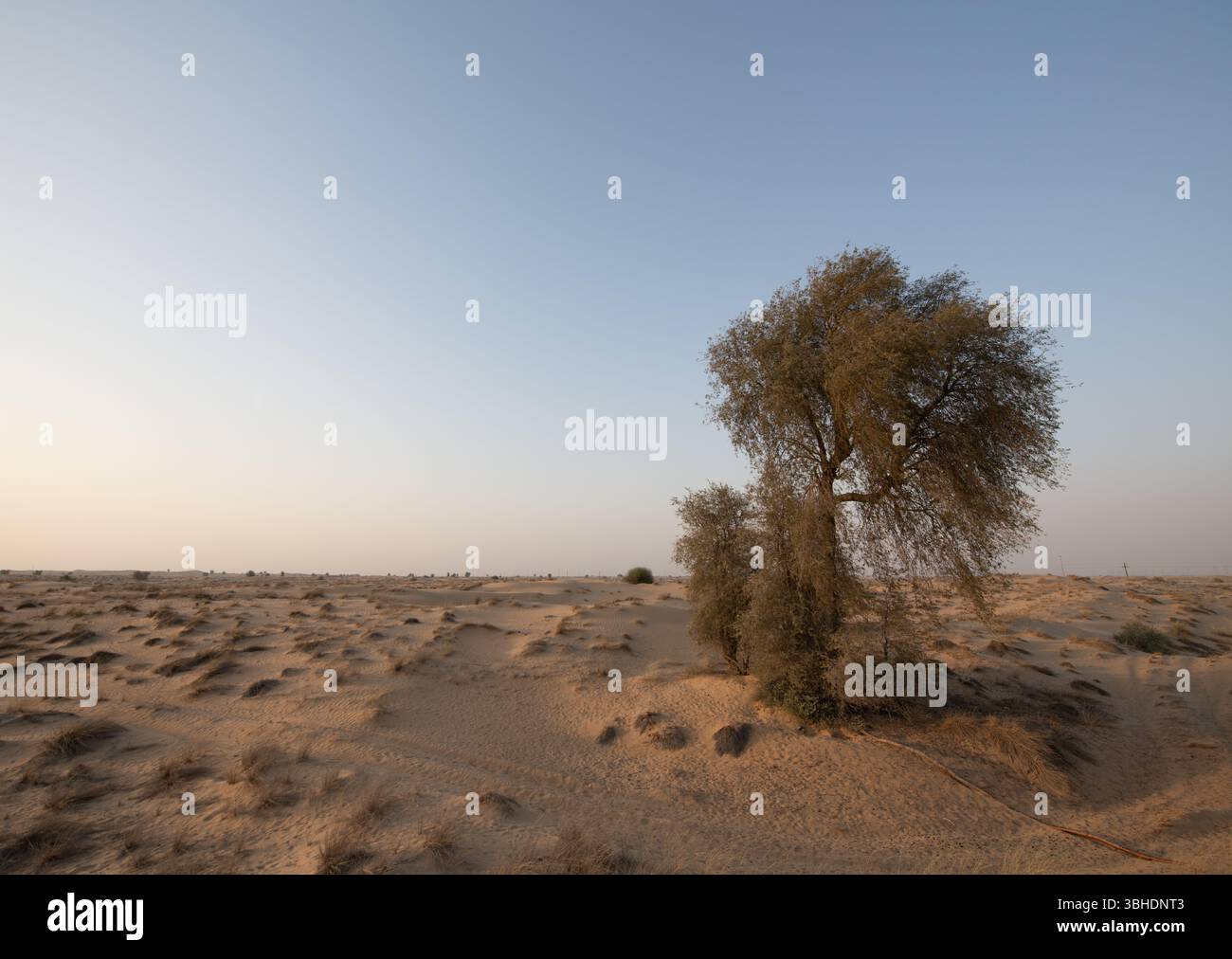 The hot desert landscape of Dubai in the UAE Stock Photo - Alamy