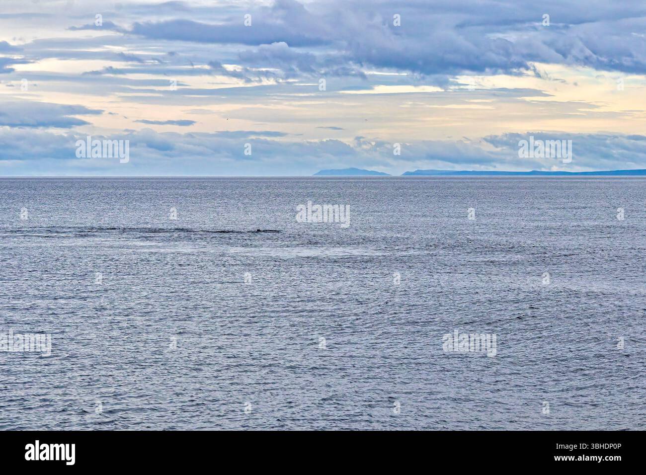 Strait of Magellan, Chile Stock Photo - Alamy