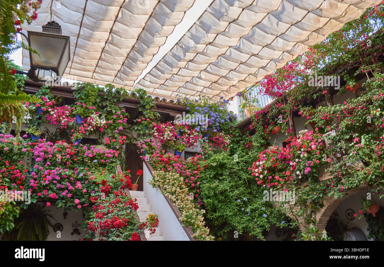 Traditional Andalusian patio filled with pots of brightly colored ...