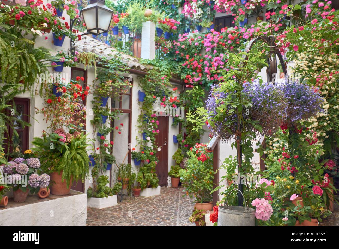 Traditional Andalusian patio filled with pots of brightly colored ...