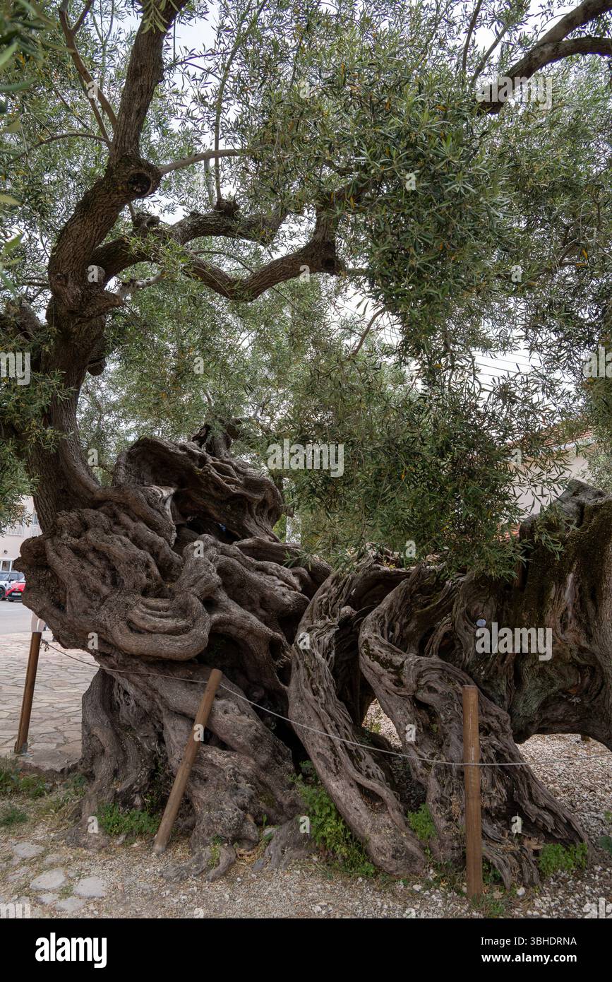 In one of the oldest villages on the island of Zakynthos – Exo Chora ...