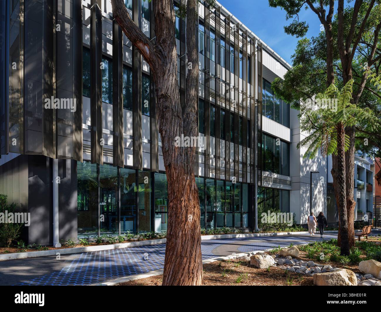 Rear facade within landscaped grounds. University of Sydney School of ...