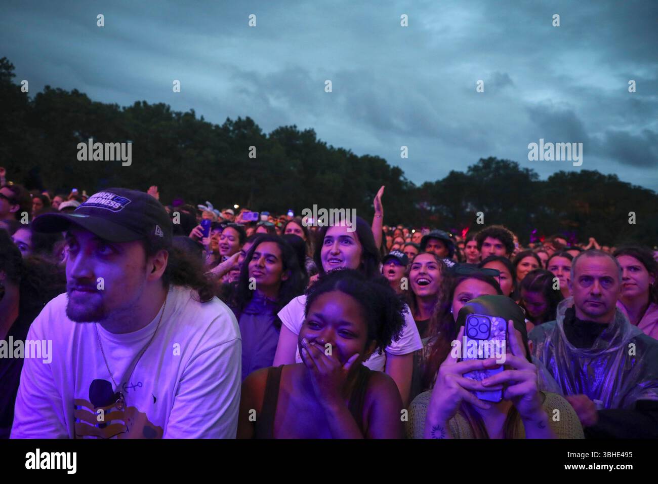 Music fans watch Hozier perform at the Governors Ball Music Festival on ...