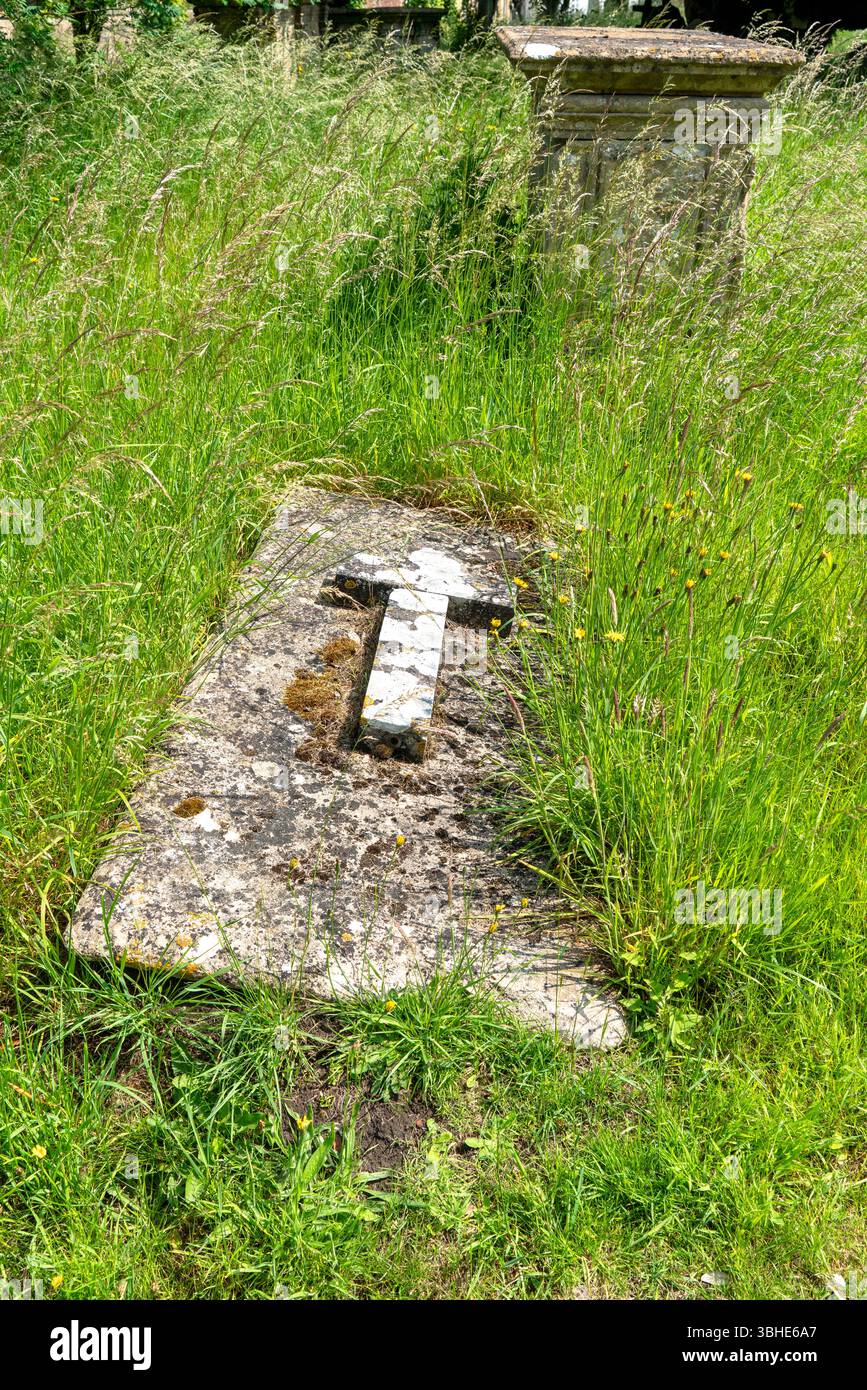 Grave stones in long grass Stock Photo - Alamy