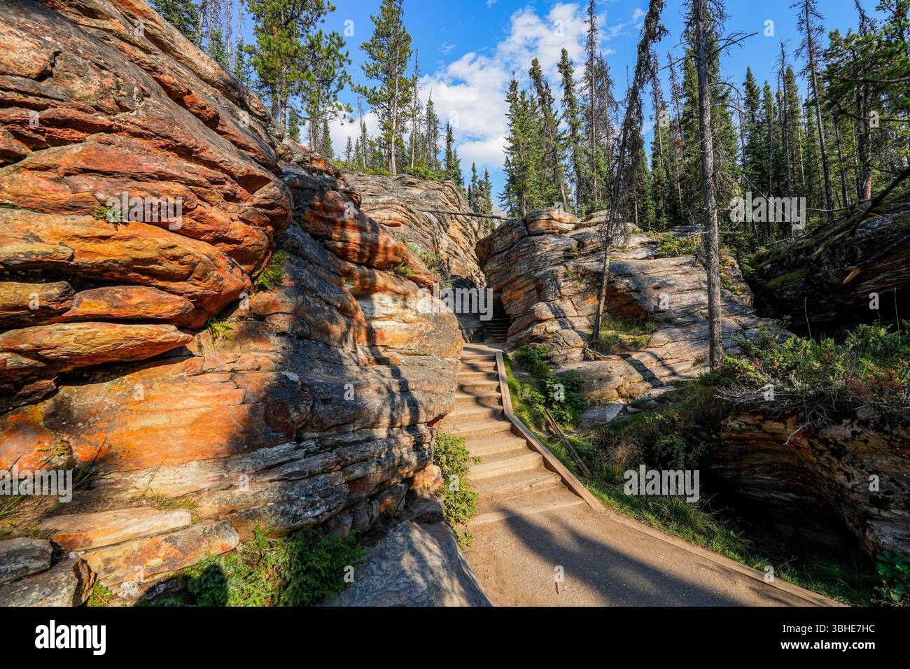 Stairway in a small gorge along the Athabasca Falls in the Jasper ...