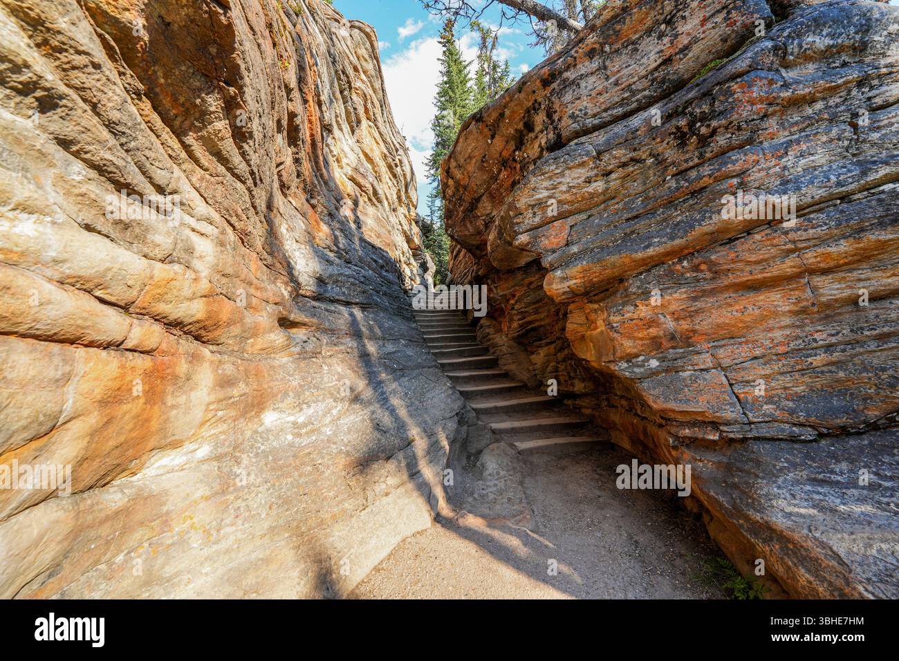 Stairway in a small gorge along the Athabasca Falls in the Jasper ...