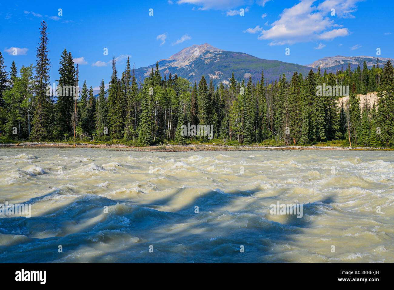 Athabasca River overlooked by Mount Hardisty in the Jasper National ...