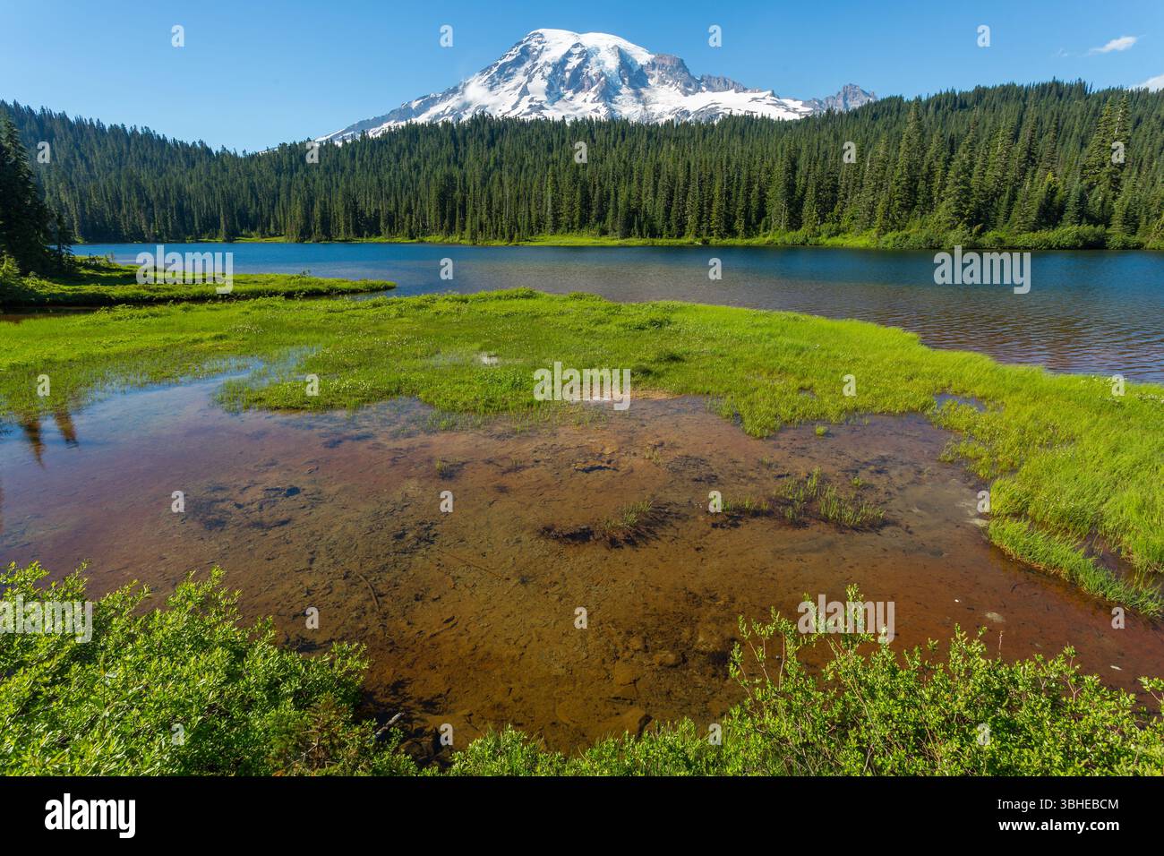 Mountt Rainier National Park near Seattle Washington USA. Iconic ...