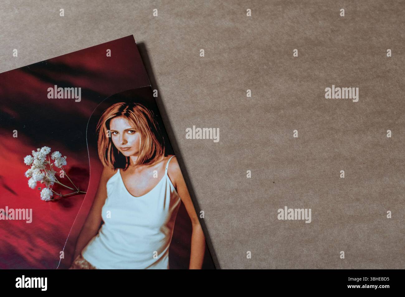 Red booklet featuring Buffy Summers character, isolated on a blank ...