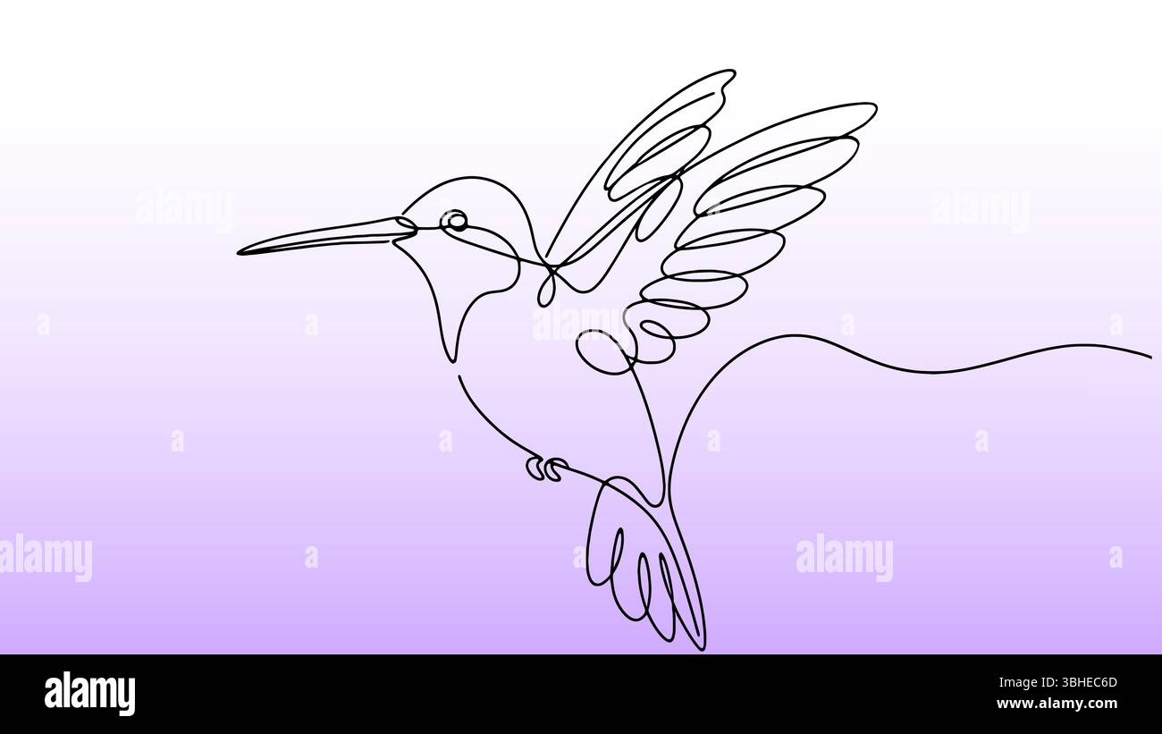 One line hummingbird illustration. Continuous outline bird drawing ...
