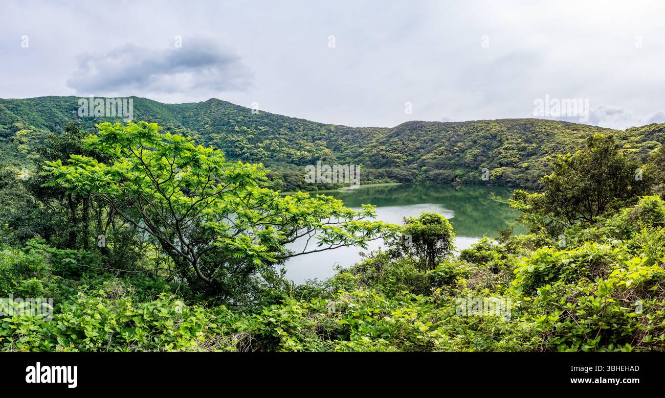 Tairo Pond is a volcanic lake. Miyakejima, Tokyo, Japan Stock Photo - Alamy