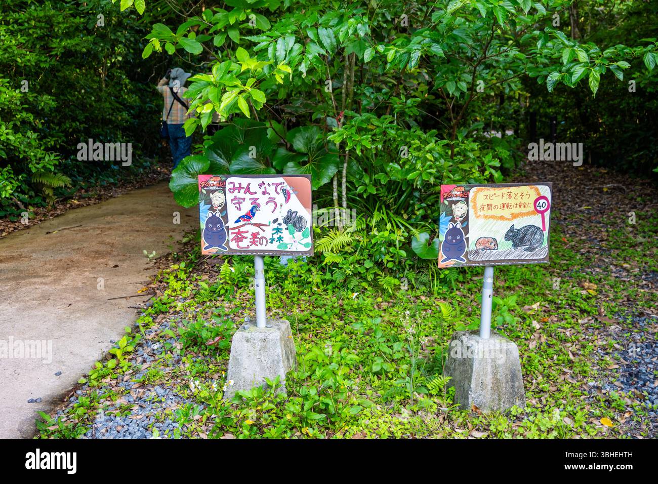 Kids' hand drawn pictures showing island wildlife are used as signs of ...