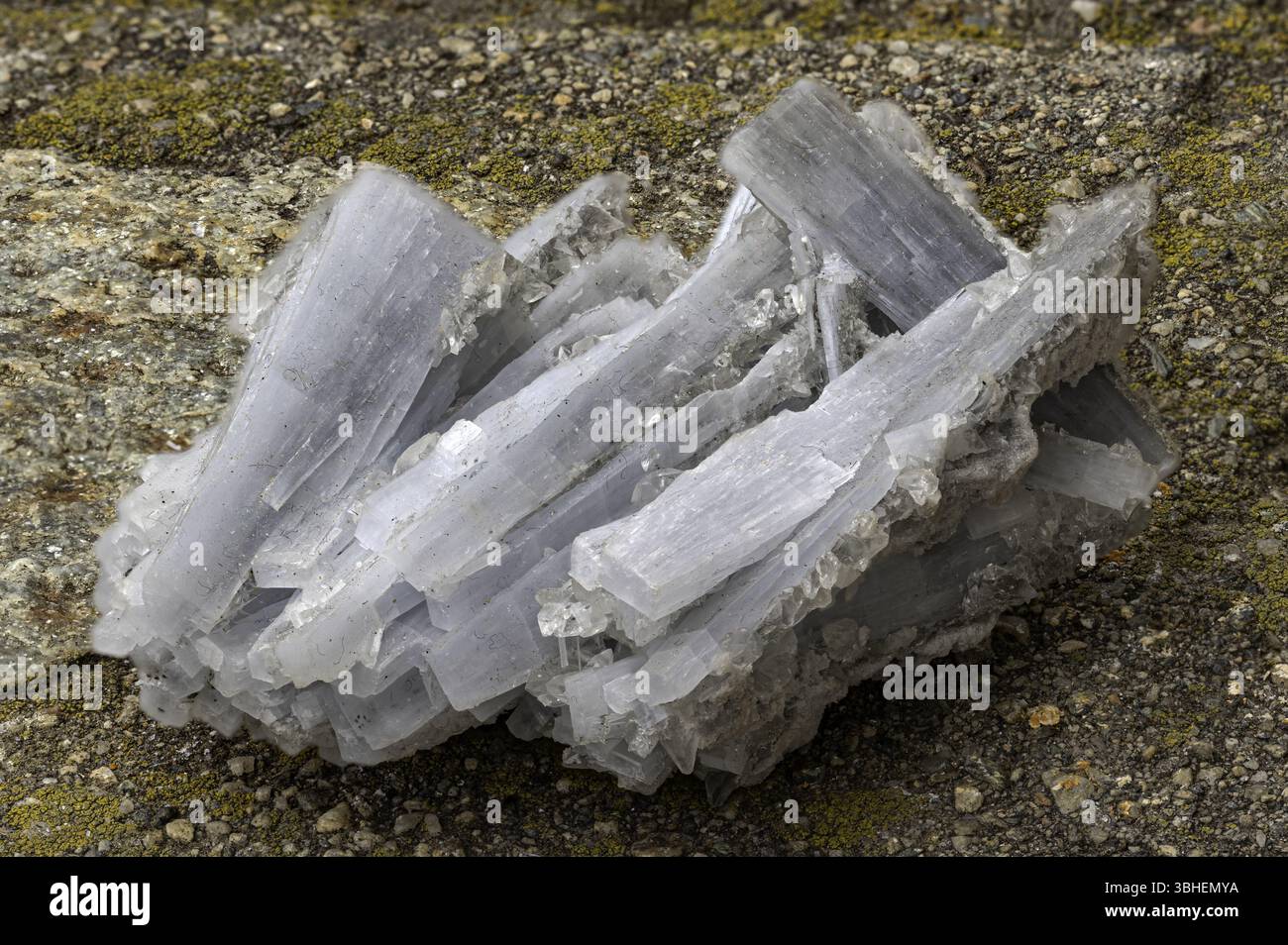 Macro shot of natural cyanite mineral showing parallel, elongated ...
