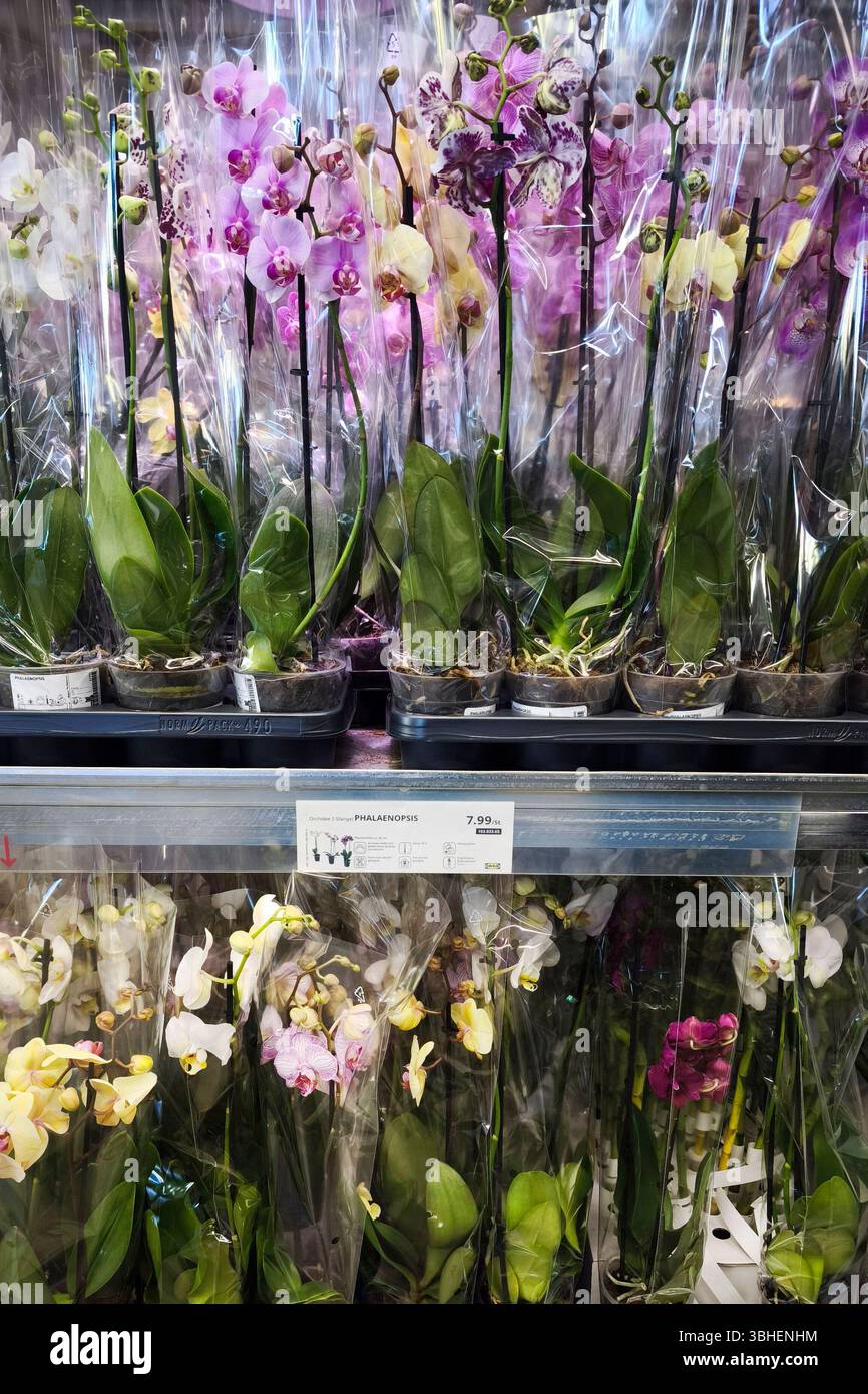 Luxus Orchideen Bertpfe Ikea Bilder