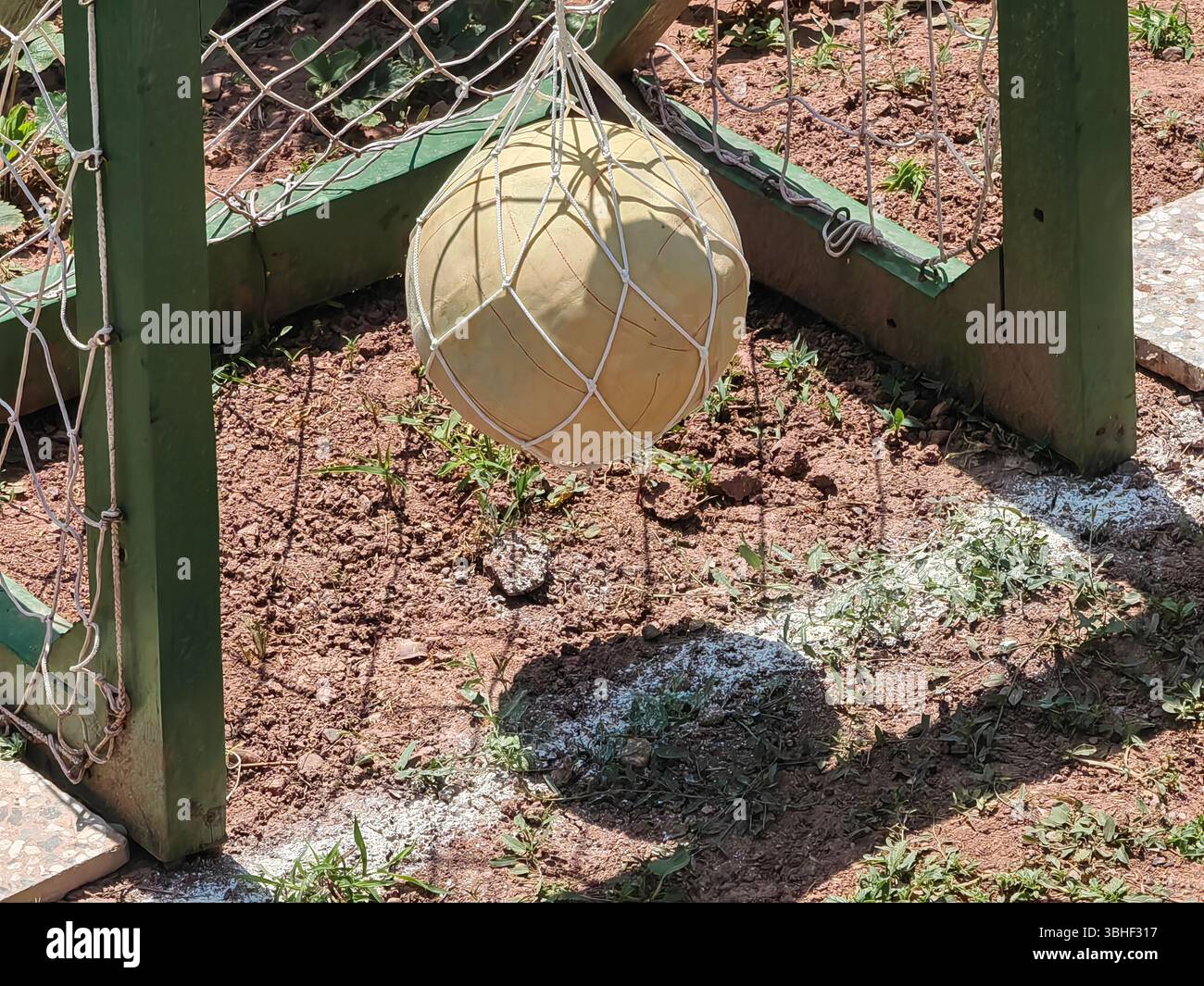 Childrens soccer success hi-res stock photography and images - Alamy