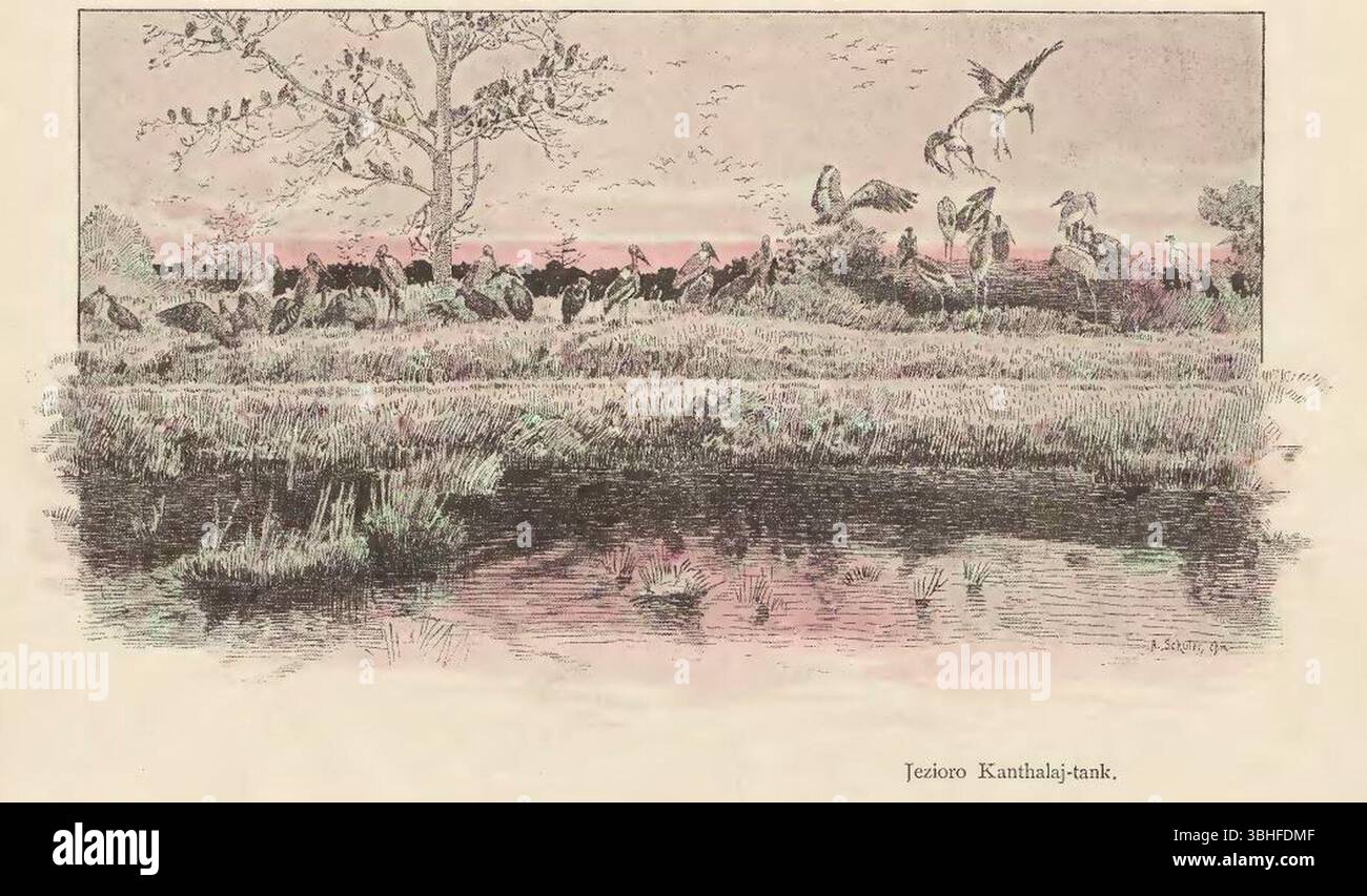 Kantale hi-res stock photography and images - Alamy