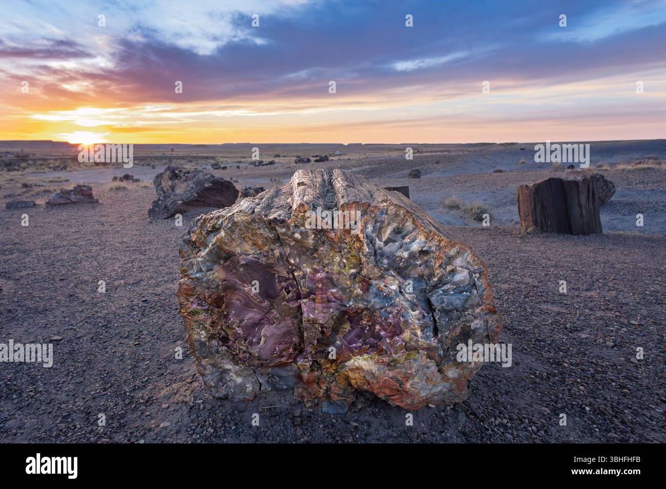 In Petrified Forest National Park, trees turned to stone by minerals ...