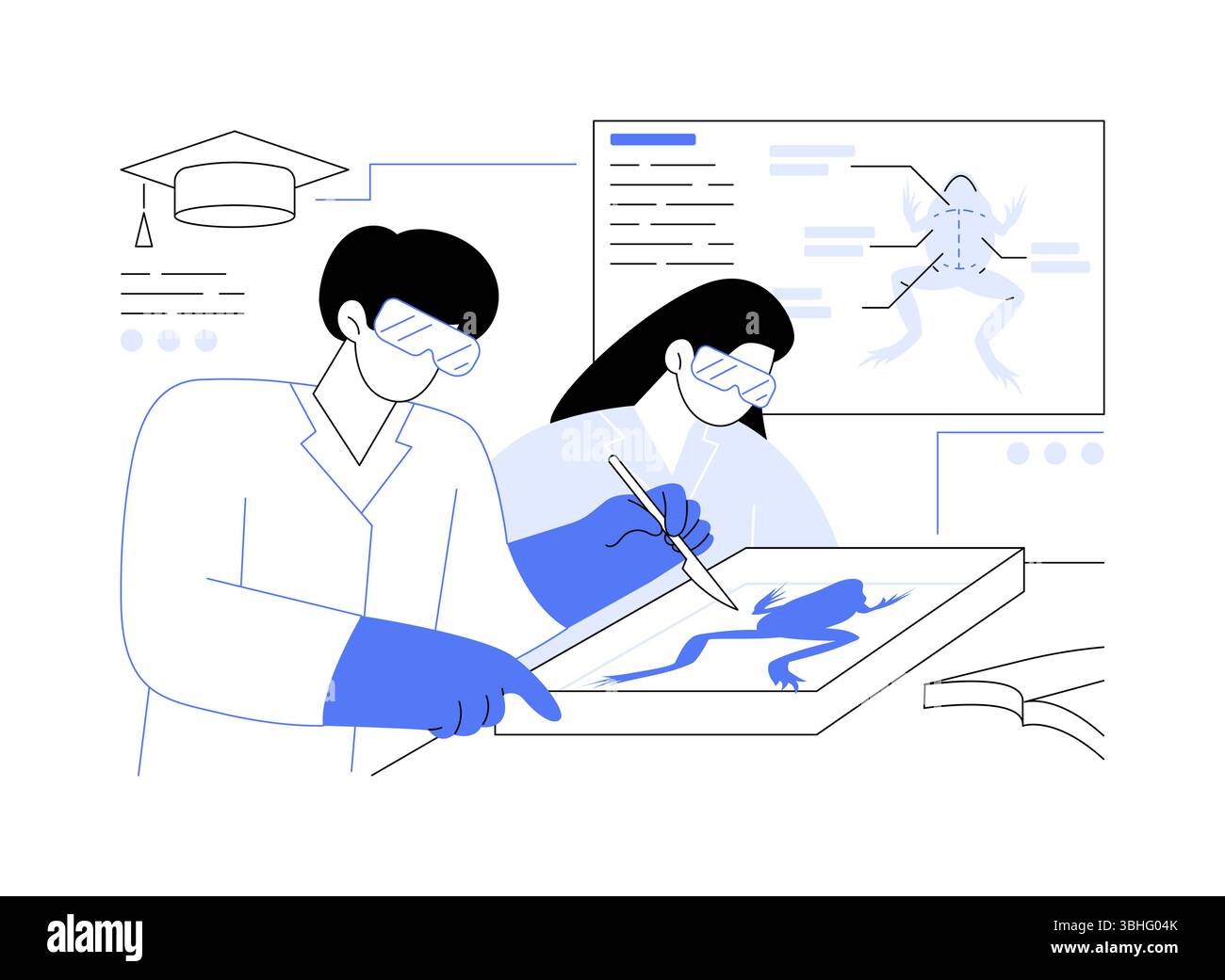 Animal anatomy isolated cartoon vector illustrations Stock Vector Image ...