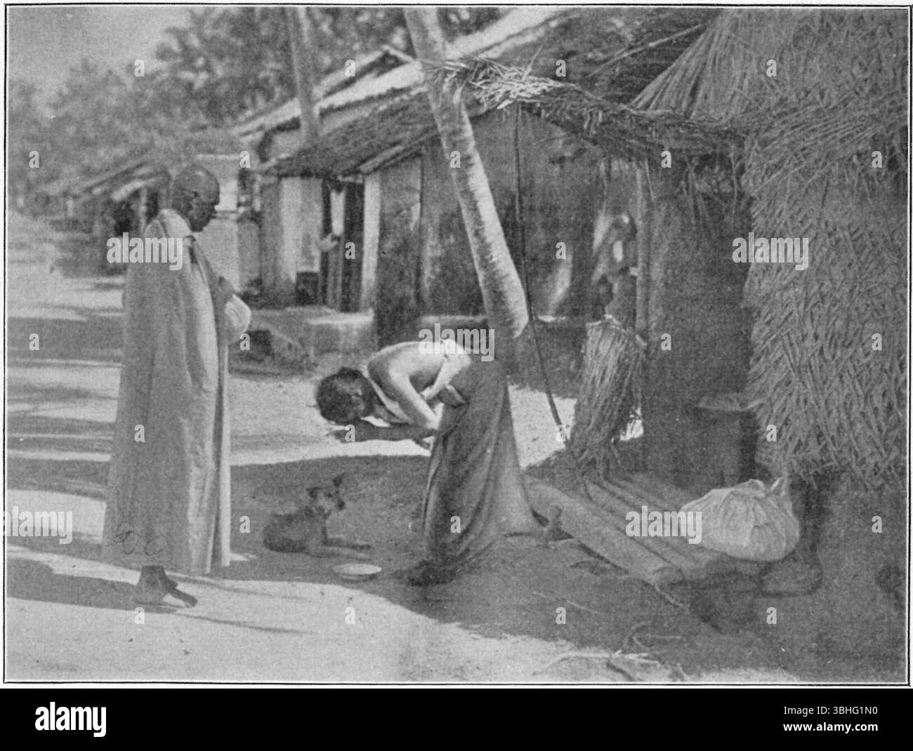 Pungi been hi-res stock photography and images - Alamy