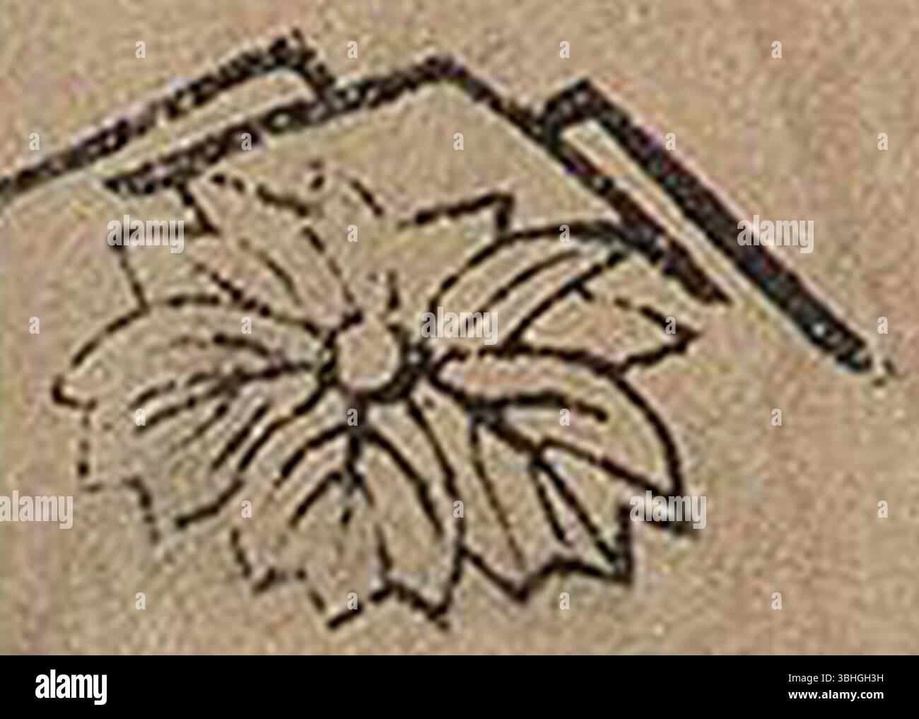 Kitagawa Utamaro (c. 1793–94) kamon Stock Photo - Alamy