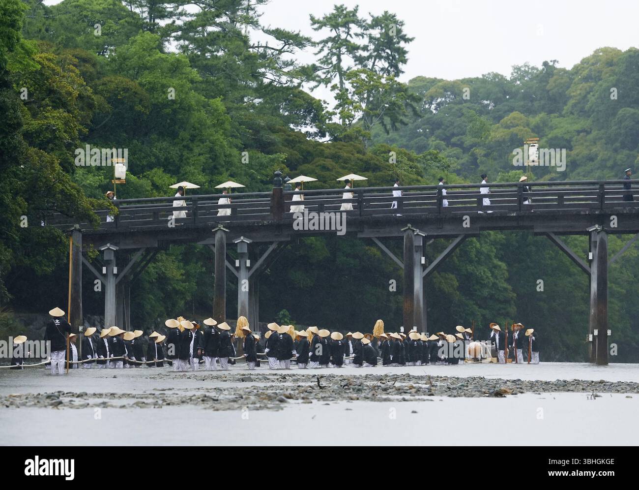 Ise Jingu shrine officials transport a "sacred" tree on the Isuzu River ...