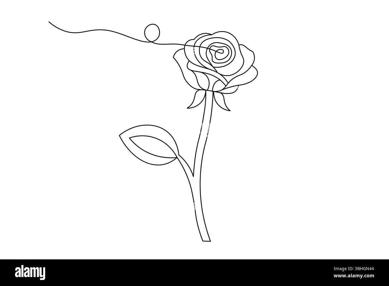 Rose Flower Continuous Line Drawing Elegant One Line Art of a ...