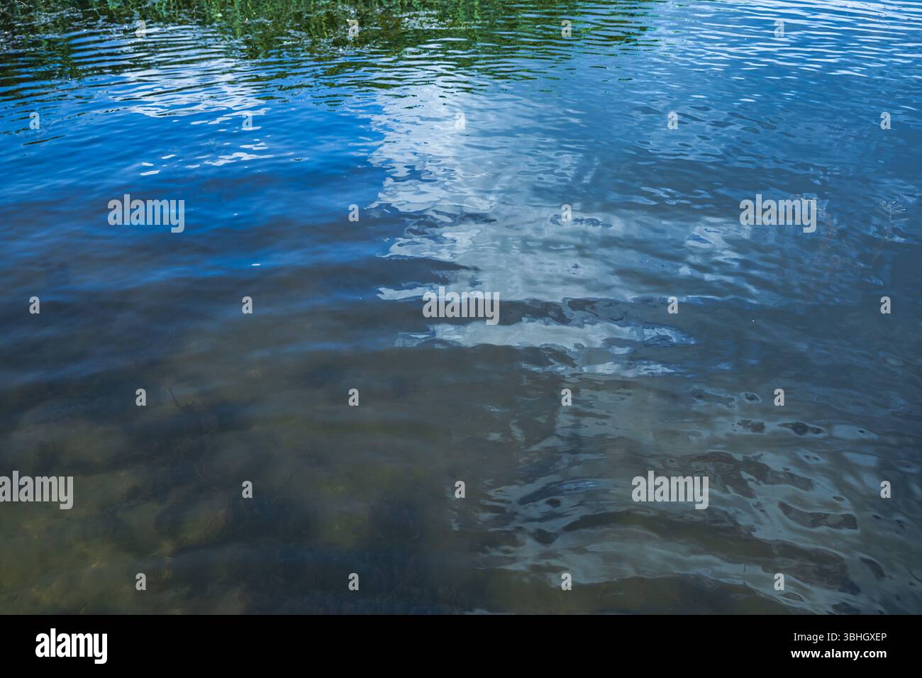 Sunlight creating patterns on the sandy bottom through clear shallow ...