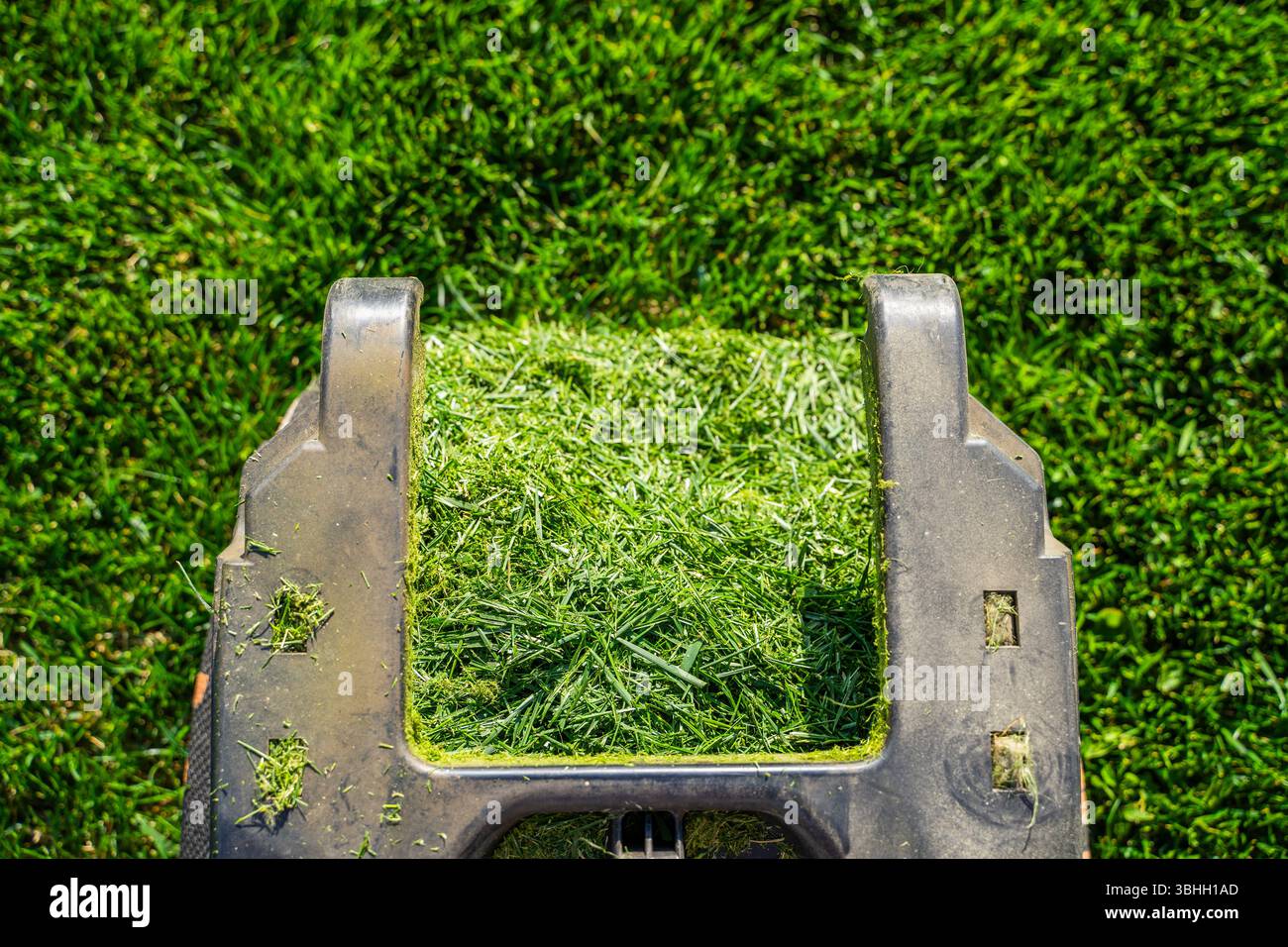 Grass bag from lawn mower hi-res stock photography and images - Alamy