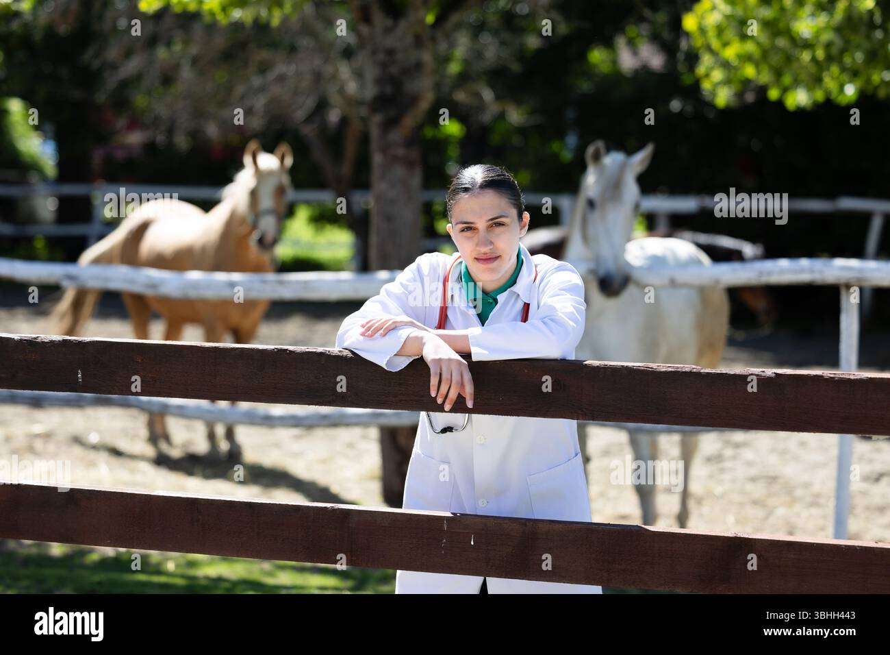 Portrait of female veterinarian stands by wooden fence in sunny stable ...