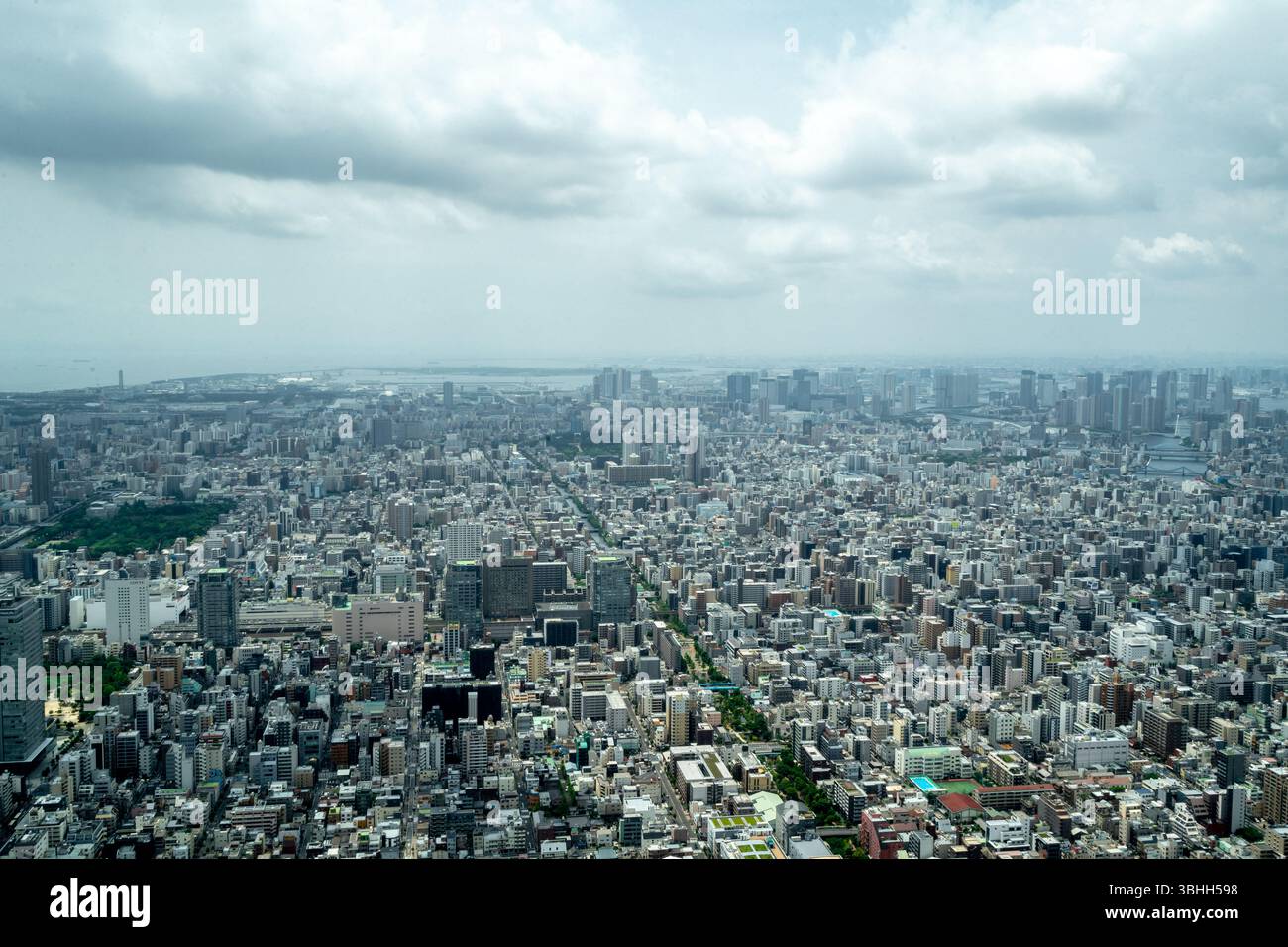 An expansive aerial perspective of Tokyo reveals a dense urban ...