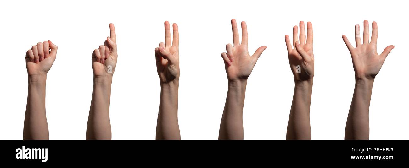 Hand with fingers raised, showing the numbers zero through five in a ...