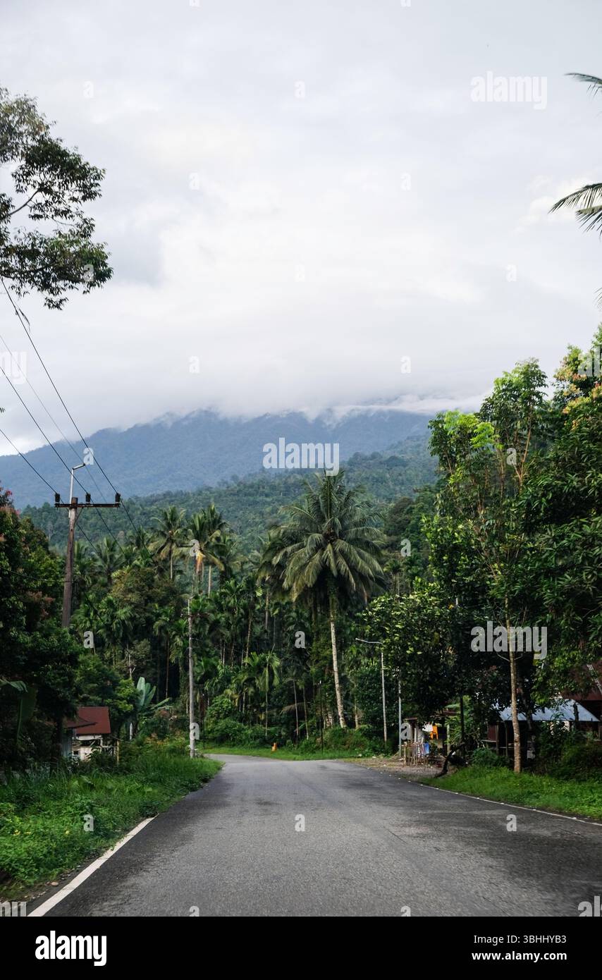 Beautiful road view hi-res stock photography and images - Alamy