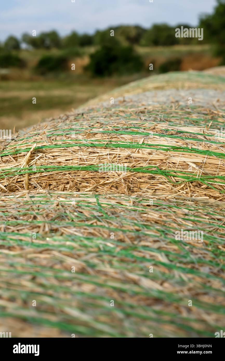Recyclable biodegradable netting hi-res stock photography and images ...
