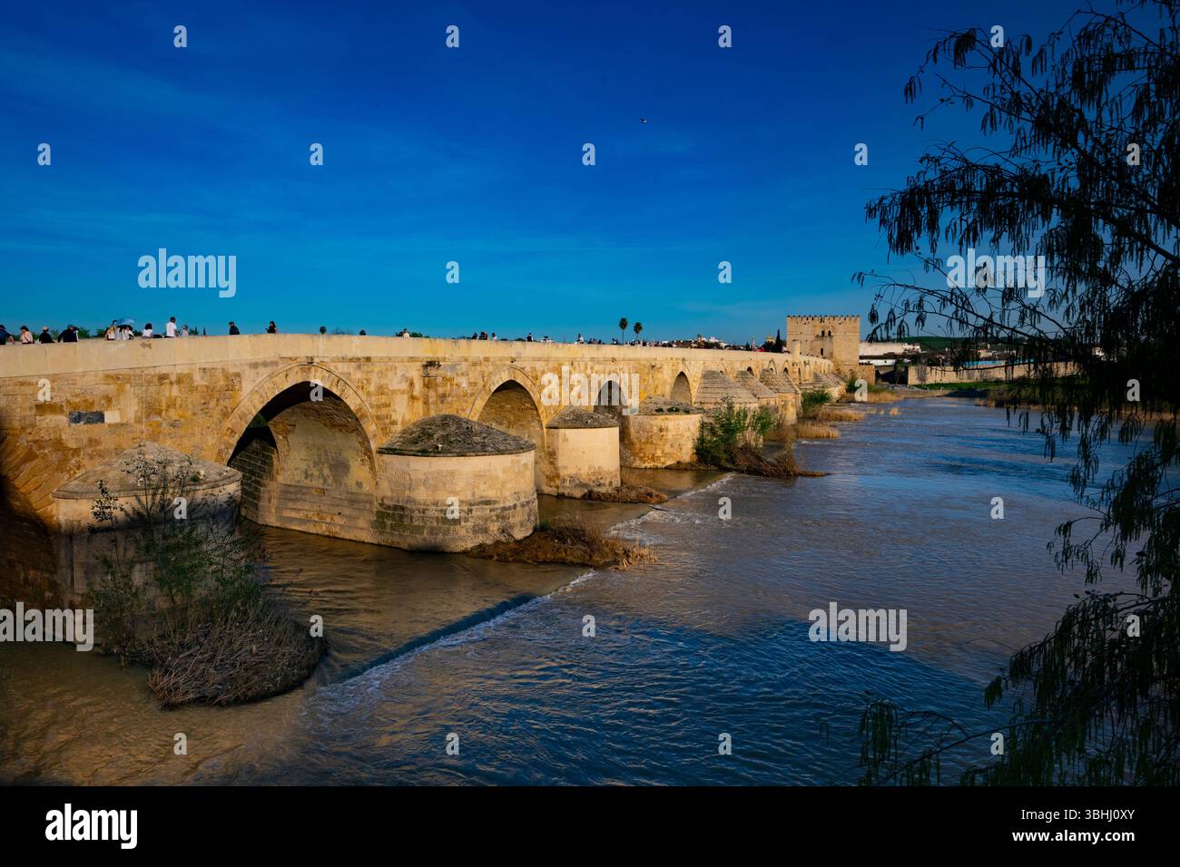 Cathedral medieval bridge river hi-res stock photography and images - Alamy