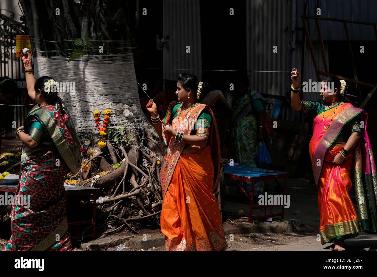Married women tie thread around a Banyan tree as part of rituals to ...