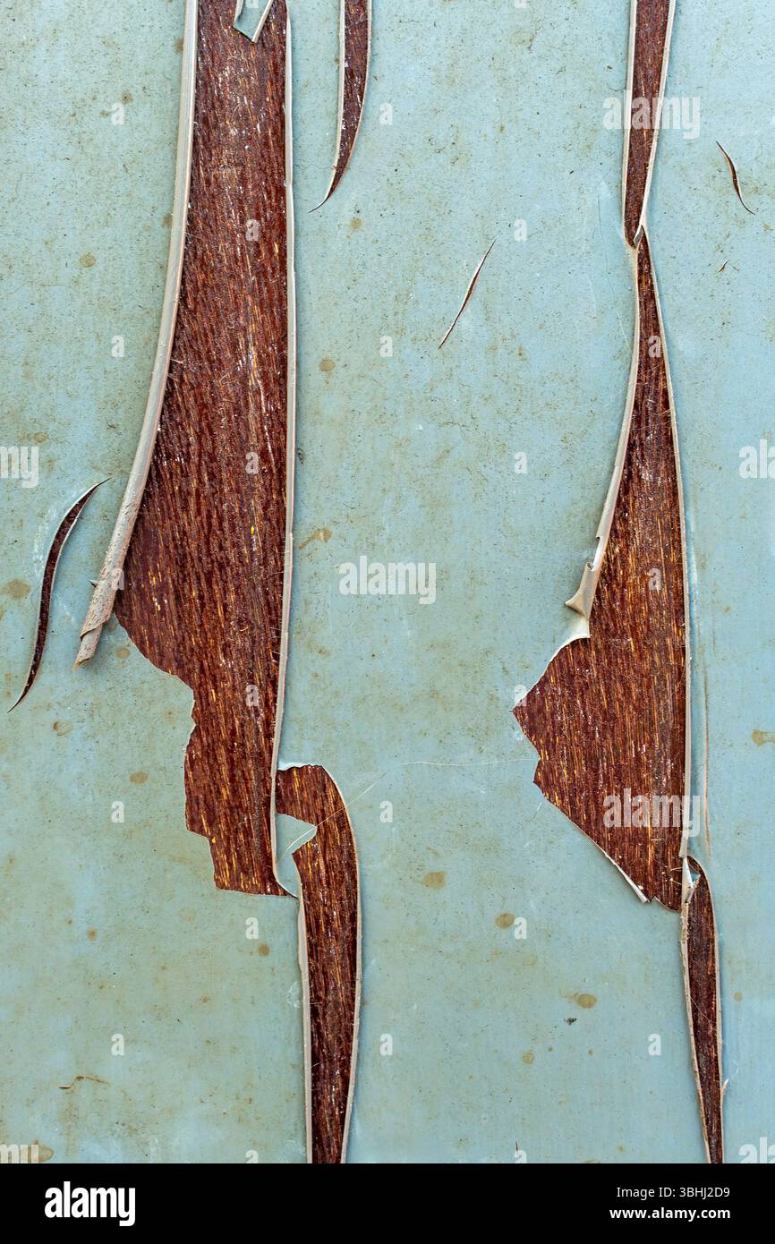 This close-up view showcases the intricate details of peeling paint ...